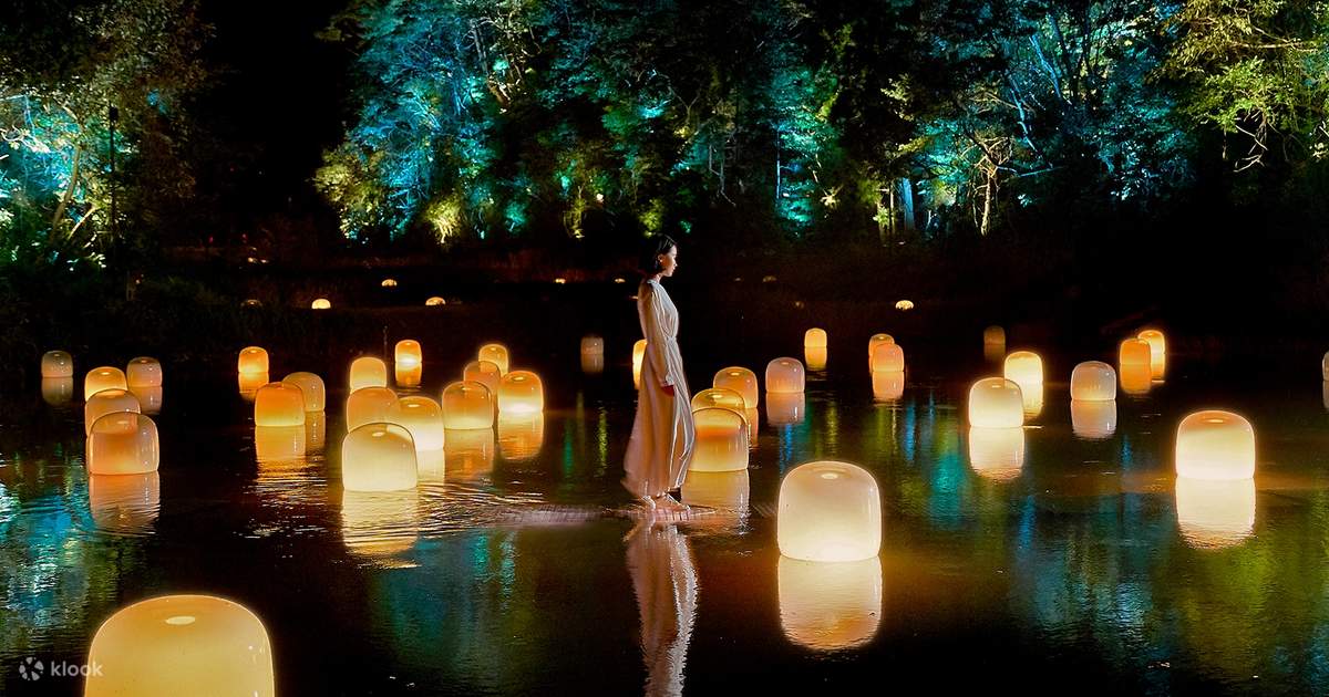 teamLab 논밭의 숨겨진 흔적 - 클룩 Klook 한국